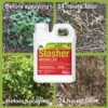 Slasher Organic Weedkiller (Nananoic Acid) | Specialist Sales