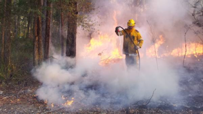 Controlled Burning & Herbicides: Smarter Weed Control for Australian ...