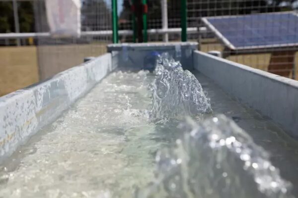 How to keep your livestock water trough clean and algae free ...