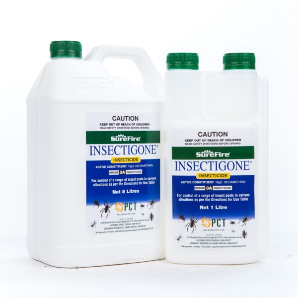 Buy Spider Control Products Online | Specialist Sales