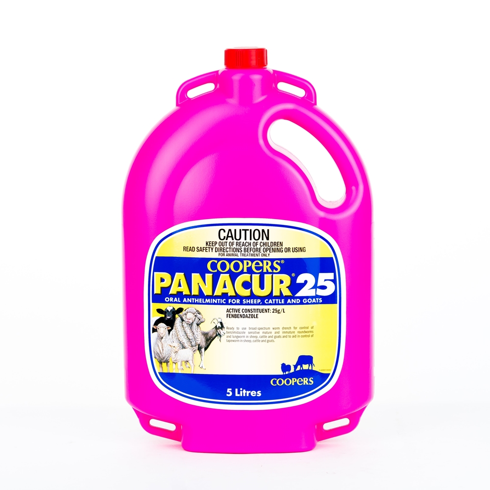 Panacur Wormer For Goats