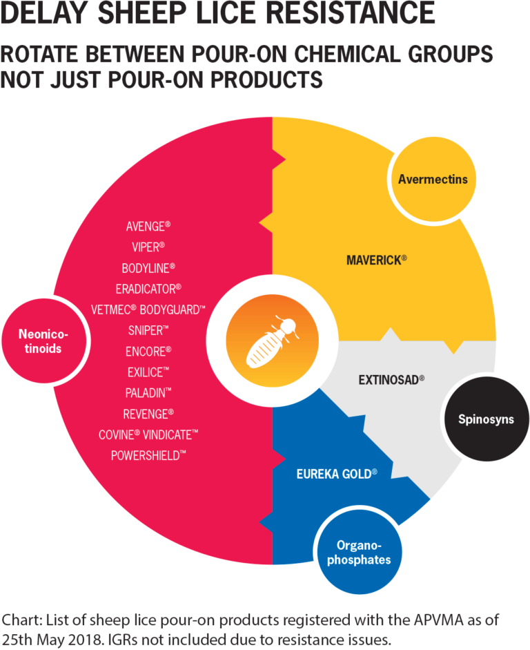 Maverick Pour-On For Sheep (Abamectin) | Specialist Sales