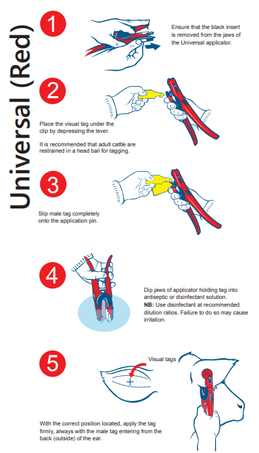 The Allflex Male Button (01) | For Allflex Female Tags | Specialist Sales