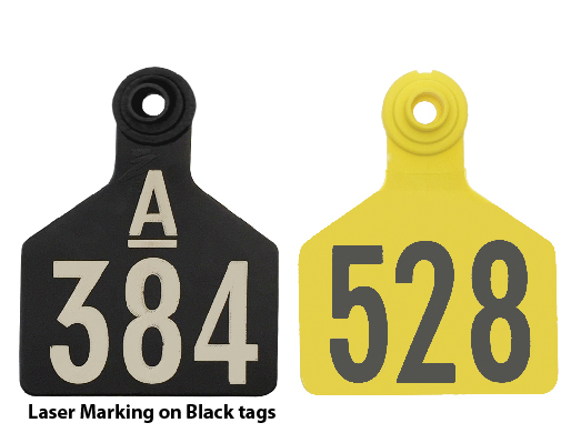 ZTags Two-Piece Tag Extra Large Female | Specialist Sales