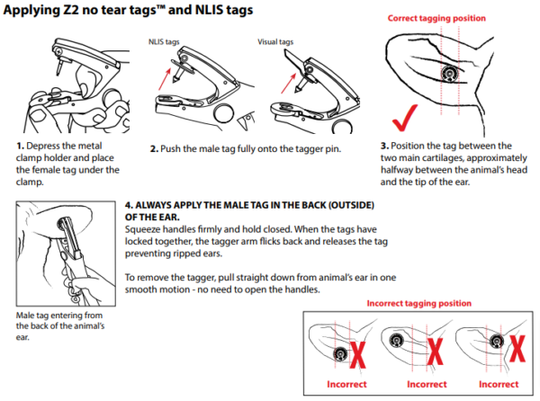 ZTags Two-Piece Tag Extra Large Female | Specialist Sales