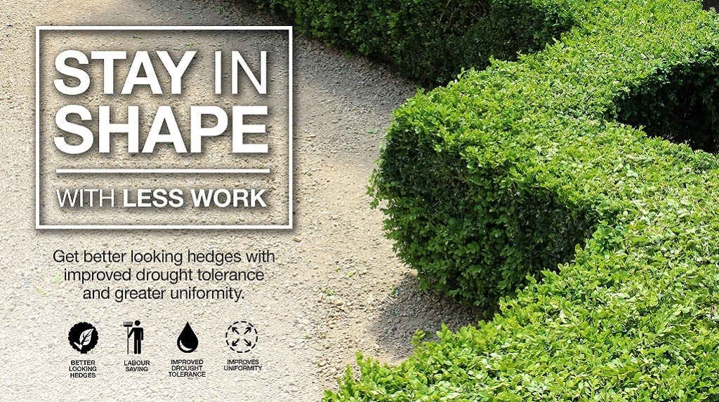 Trimmit Growth Regulator (Hedges & Ornamentals) | Syngenta Turf ...