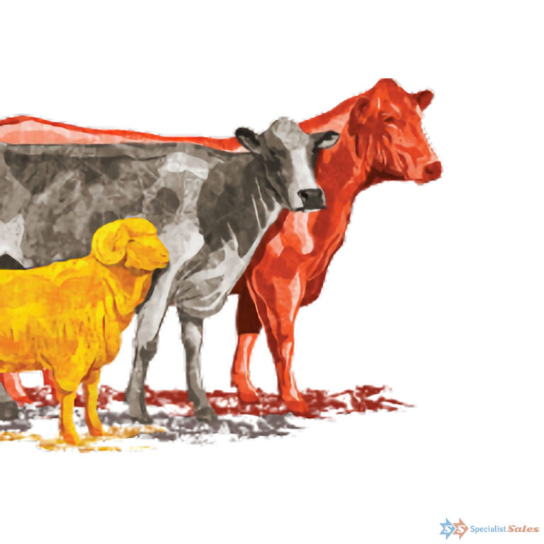 Cobalife VB12 Plus Selenium For Sheep And Cattle Elanco | Specialist ...