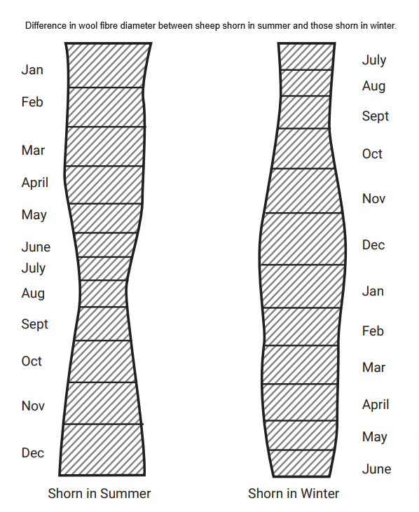 Fade Away Scourable Wool Marker | Specialist Sales | AHD NZ